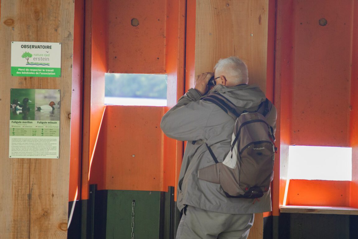 Visiter le Grand Ried en Alsace - Casa del Travel