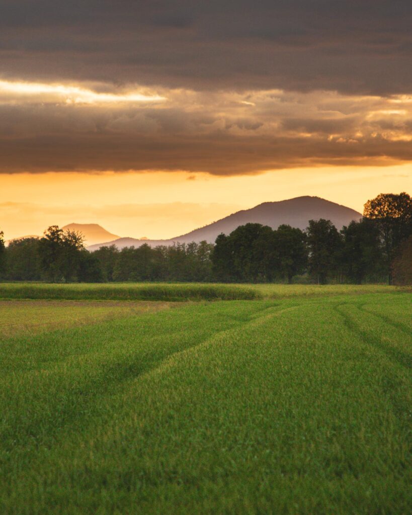 Visiter le Grand Ried en Alsace - Casa del Travel